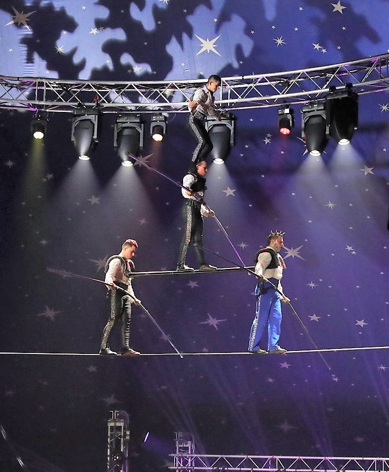 Les plus beaux numéros de cirque sont en Essonne, à Massy